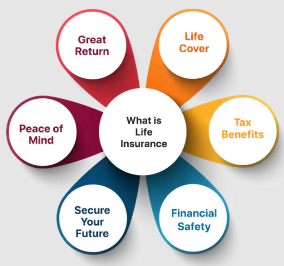 NRI Life Insurance Services for Global Indians